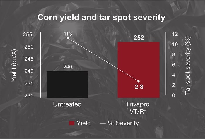 Stay a Step Ahead of Tar Spot With Trivapro Fungicide | Syngenta Thrive