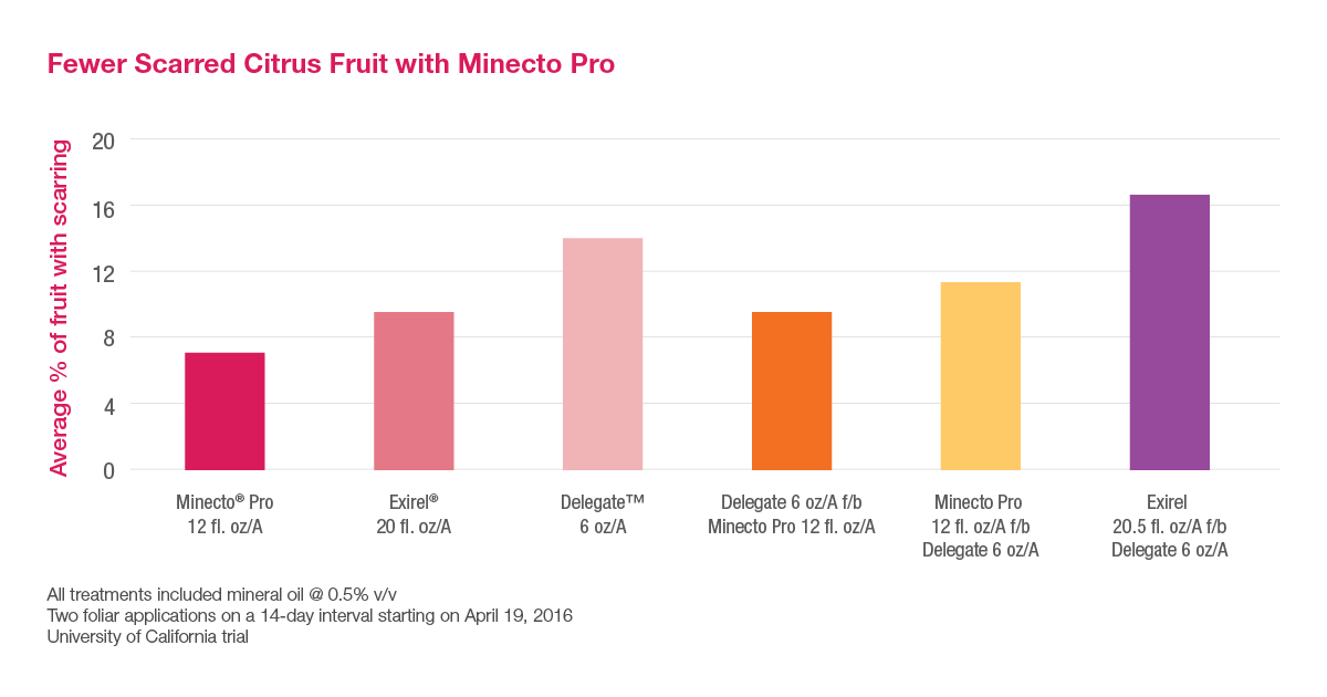 Citrus Thrips: A Small but Mighty Pest Challenge in California ...