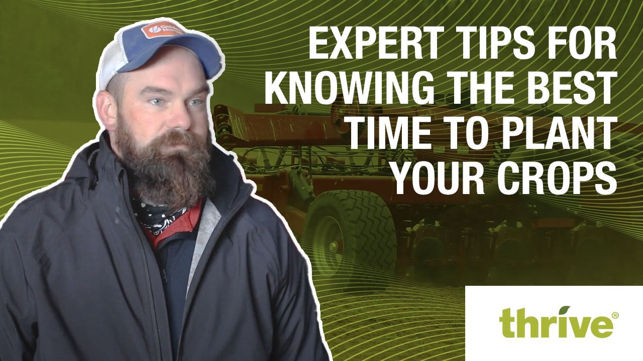Expert Tips for Knowing the Best Time to Plant Your Crops | Syngenta Thrive