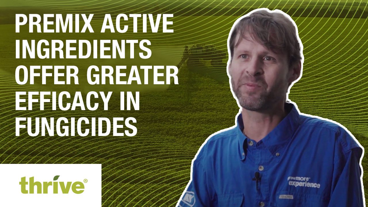 Premix Active Ingredients Offer Greater Efficacy in Fungicides ...