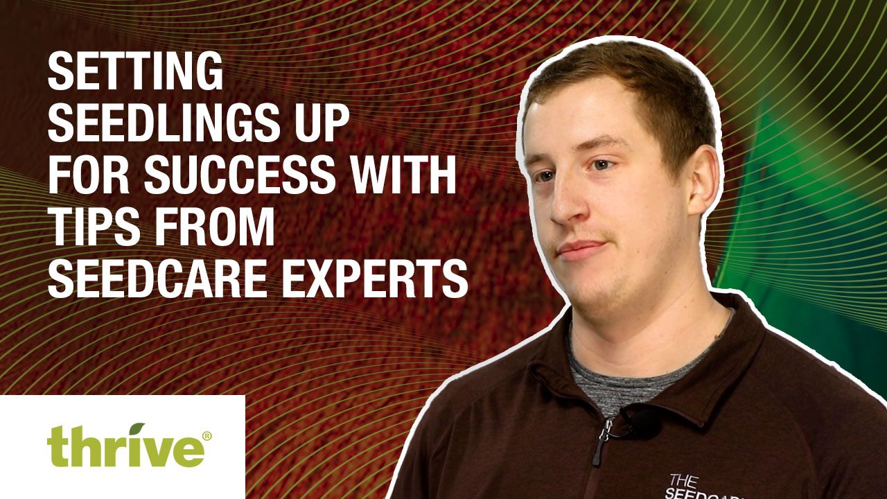 Setting Seedlings Up For Success With Tips From Seedcare Experts ...