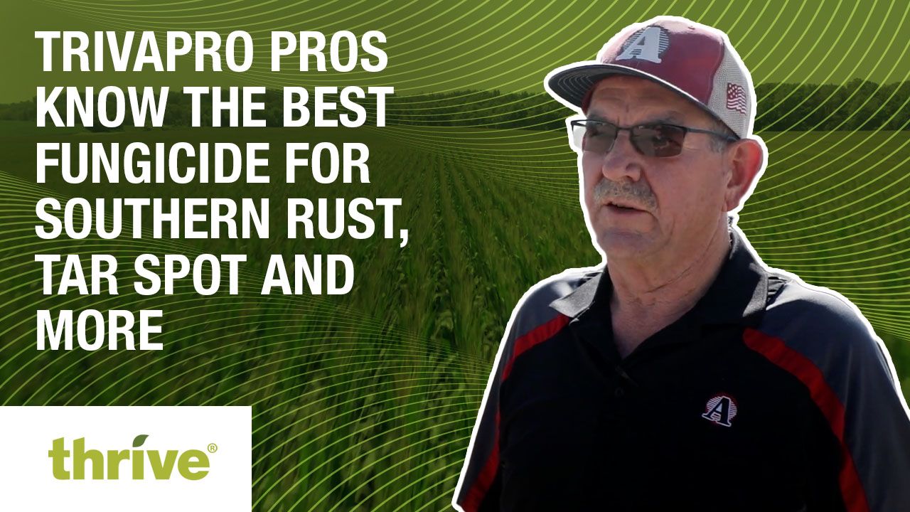 Trivapro PROs Know the Best Fungicide for Southern Rust, Tar Spot and ...