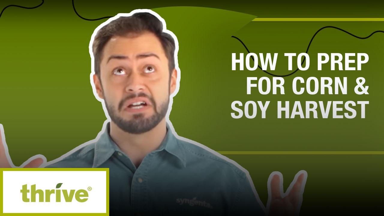 Ag in :60 – How to Prep for Corn & Soy Harvest | Syngenta Thrive