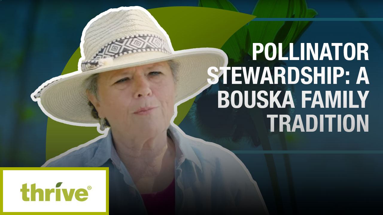 Pollinator Stewardship: A Bouska Family Tradition | Syngenta Thrive
